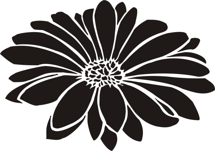 Painting Stencil Large Daisy Walls Stencils Plaster Stencils 